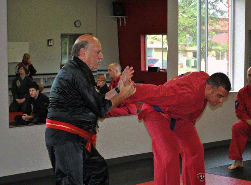 Seminar with Hanshi John Therien - Martial Arts America | Rochester, NY